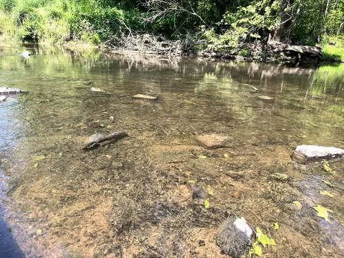 Best Hikes and Trails in Cub Run Stream Valley Park | AllTrails