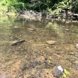 Cub Run Stream Valley Trail, Virginia - 370 Reviews, Map | AllTrails