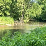 Cub Run Stream Valley Trail, Virginia - 370 Reviews, Map | AllTrails