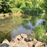 Cub Run Stream Valley Trail, Virginia - 454 Reviews, Map | AllTrails