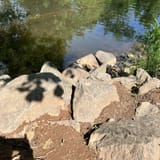 Cub Run Stream Valley Trail, Virginia - 454 Reviews, Map | AllTrails