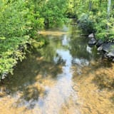 Cub Run Stream Valley Trail, Virginia - 392 Reviews, Map | AllTrails