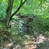 Cub Run Stream Valley Trail, Virginia - 454 Reviews, Map | AllTrails