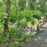 Cub Run Stream Valley Trail, Virginia - 397 Reviews, Map | AllTrails