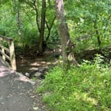 Cub Run Stream Valley Trail, Virginia - 397 Reviews, Map | AllTrails