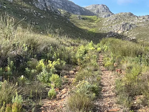 Best Wildlife Trails in Grabouw | AllTrails