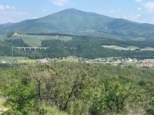 2023 Best Forest Trails in Calenzano | AllTrails