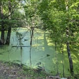 Pyramid State Park Loop Trail, Illinois - 235 Reviews, Map | AllTrails