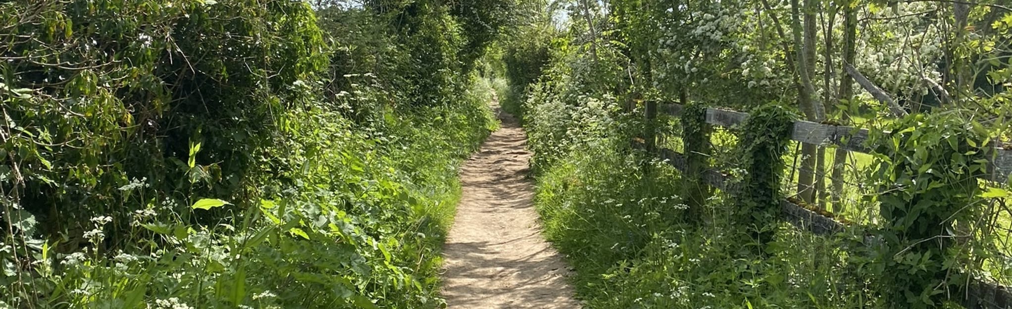 Hazelbury Manor Circular: 38 Reviews, Map - Wiltshire, England | AllTrails