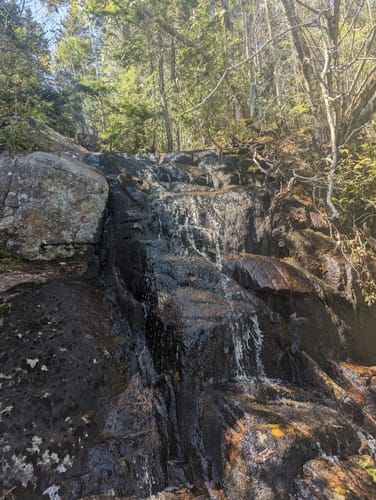 2023 Best Long Trails in Saint-Tite-des-Caps | AllTrails