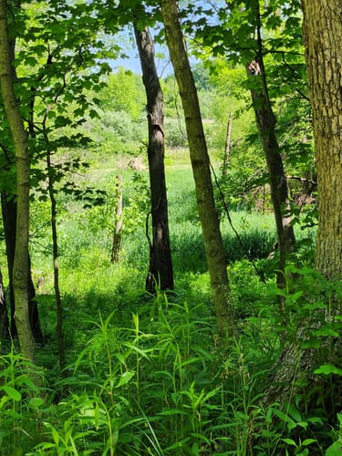 Best Hikes and Trails in Moraine View State Recreation Area | AllTrails