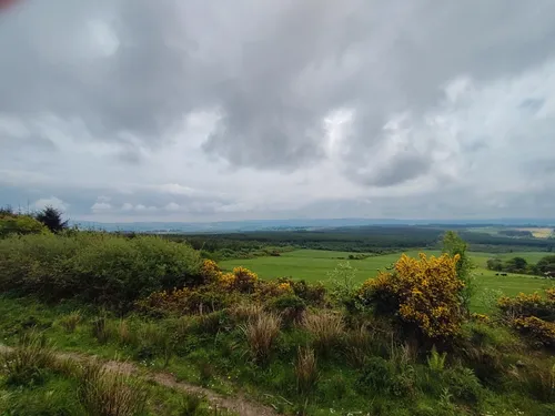 Best Walking Trails in Cappoquin | AllTrails