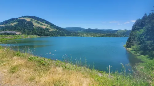 2023 Best Easy Trails in Dorena | AllTrails