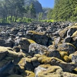 Wyeth to Gorge Trail, Oregon - 178 Reviews, Map | AllTrails