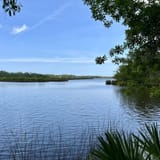 Doris Leeper Trail, Florida - 429 Reviews, Map | AllTrails