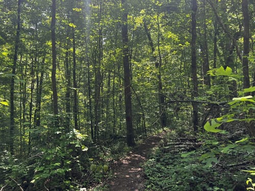 Best Hikes and Trails in Red Clay State Park | AllTrails
