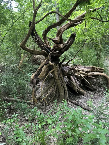 Best Hikes and Trails in Harry Moss Park | AllTrails