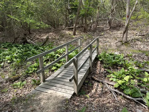 Best Hikes and Trails in Camp Hero State Park | AllTrails