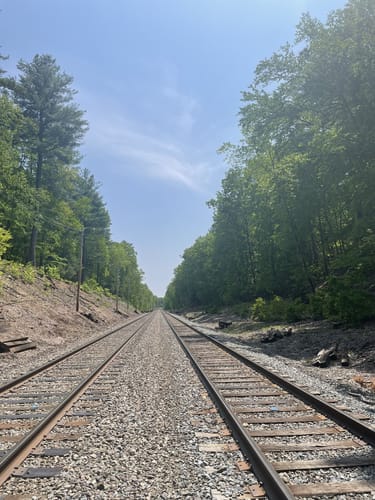 Best Hikes and Trails in Mount Misery Conservation Land | AllTrails