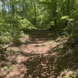 Lake Powhatan Loop, North Carolina - 349 Reviews, Map | AllTrails