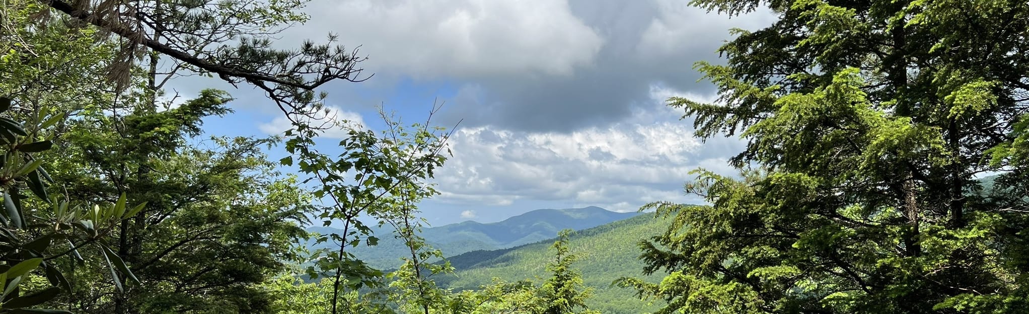 Kitsuma Peak (Short Route), North Carolina - 294 Reviews, Map | AllTrails
