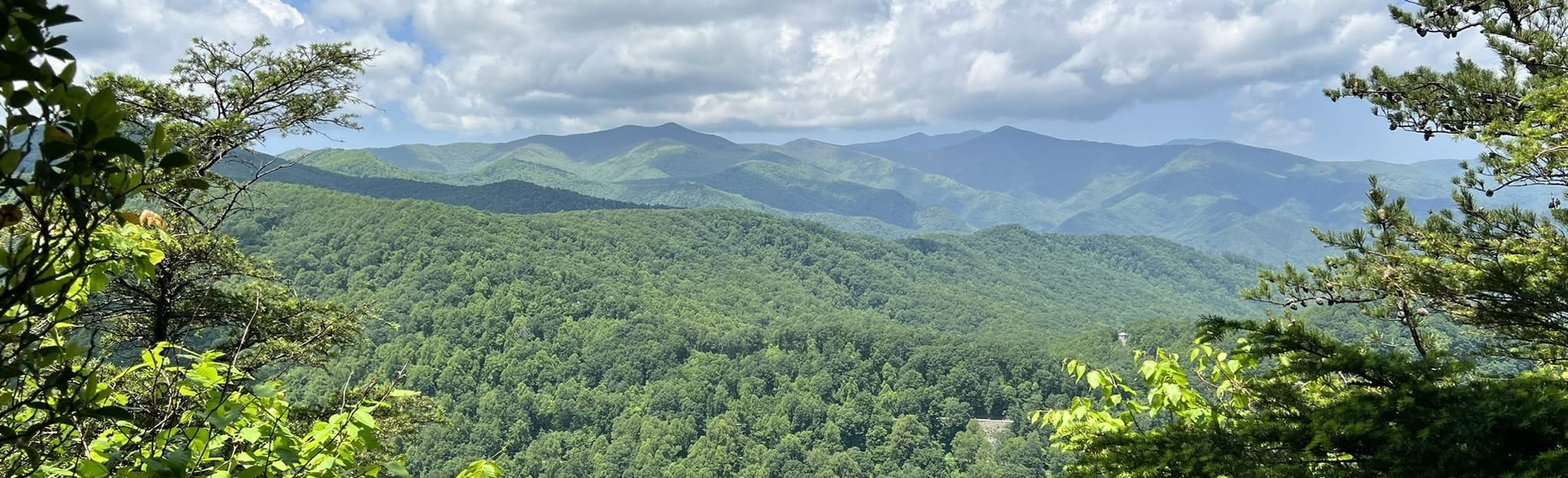 Kitsuma Peak Trail (Long Route), North Carolina - 84 Reviews, Map ...