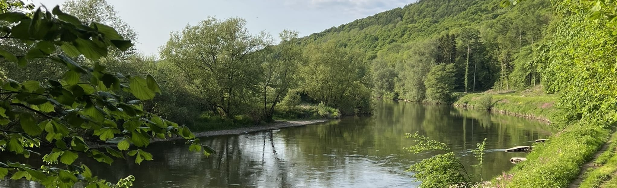Capler Wood and the River Wye Circular Walk: 90 foto's - Herefordshire ...