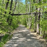 New Boston Rail Trail , New Hampshire - 295 Reviews, Map | AllTrails