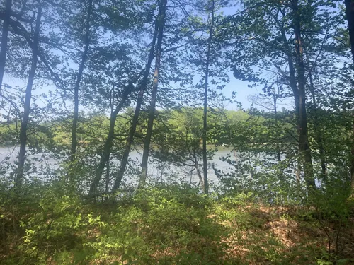 Best River Trails in Dover | AllTrails