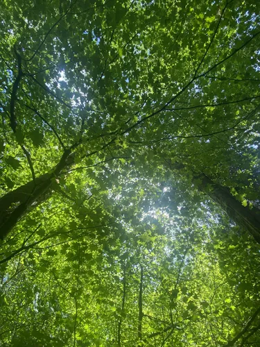 Best Hikes and Trails in Birch Bay State Park | AllTrails