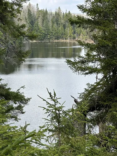 10 Best Off Road Driving Trails in Quebec | AllTrails