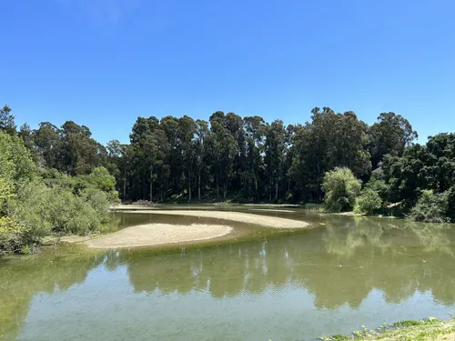 Best Hikes and Trails in Don Castro Regional Recreation Area | AllTrails