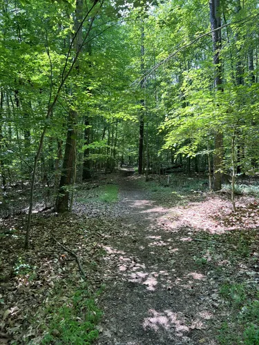 Best Hikes and Trails in Jug Bay Natural Area | AllTrails