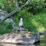 Prettyboy Reservoir Dam, Maryland - 673 Reviews, Map | AllTrails