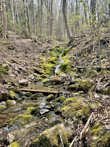 Best Hikes and Trails in Mapleton Acadian Forest Nature Preserve ...