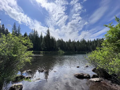 2023 Best 10 Trail Running Trails in Alice Lake Provincial Park | AllTrails