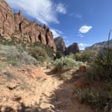 Sand Bench Trail, Utah - 555 Reviews, Map | AllTrails