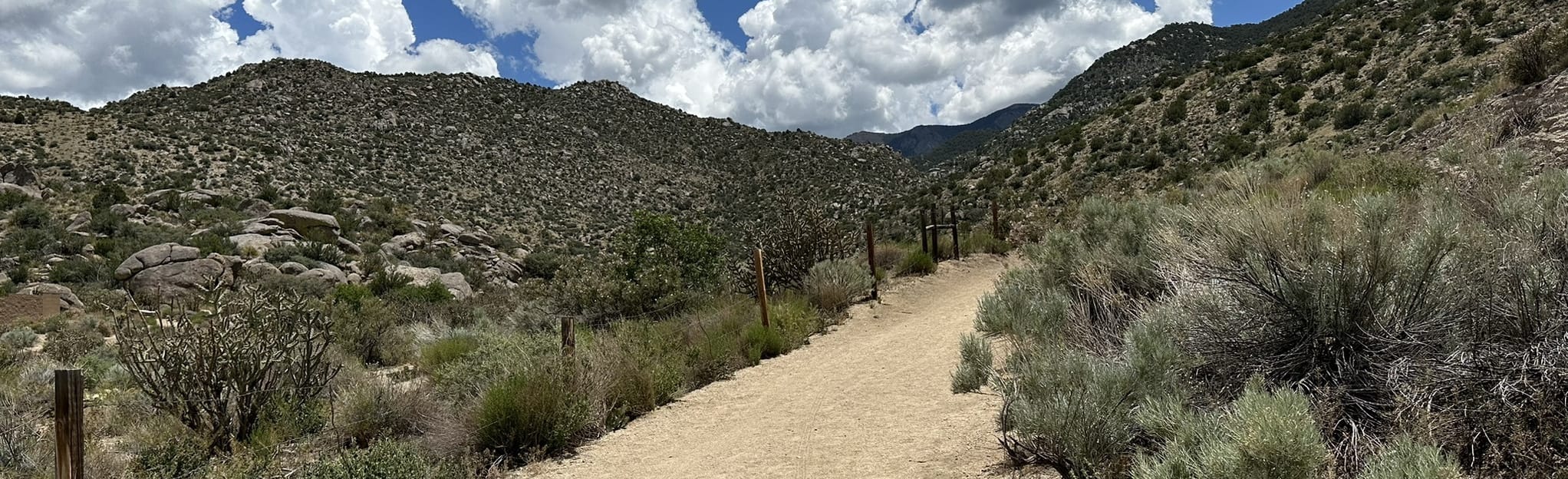 Oso Ridge and Embudito Canyon Loop: 1.434 fotos - Novo México | AllTrails