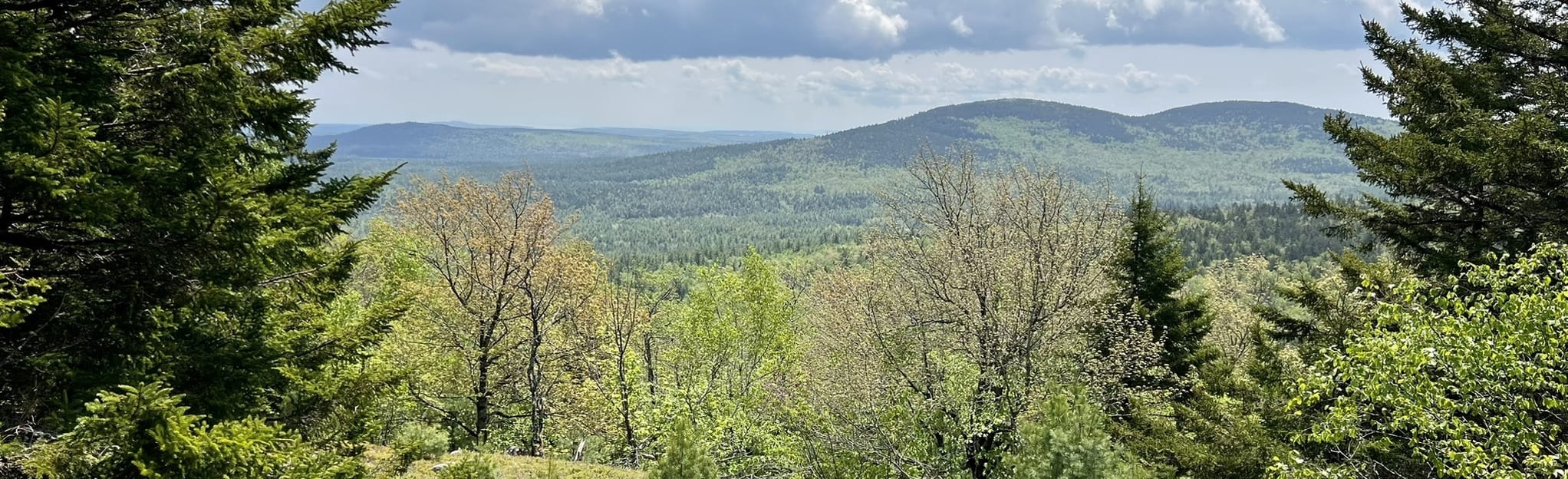 AllTrails | Catherine Mountain: 87 Reviews, Map - Maine