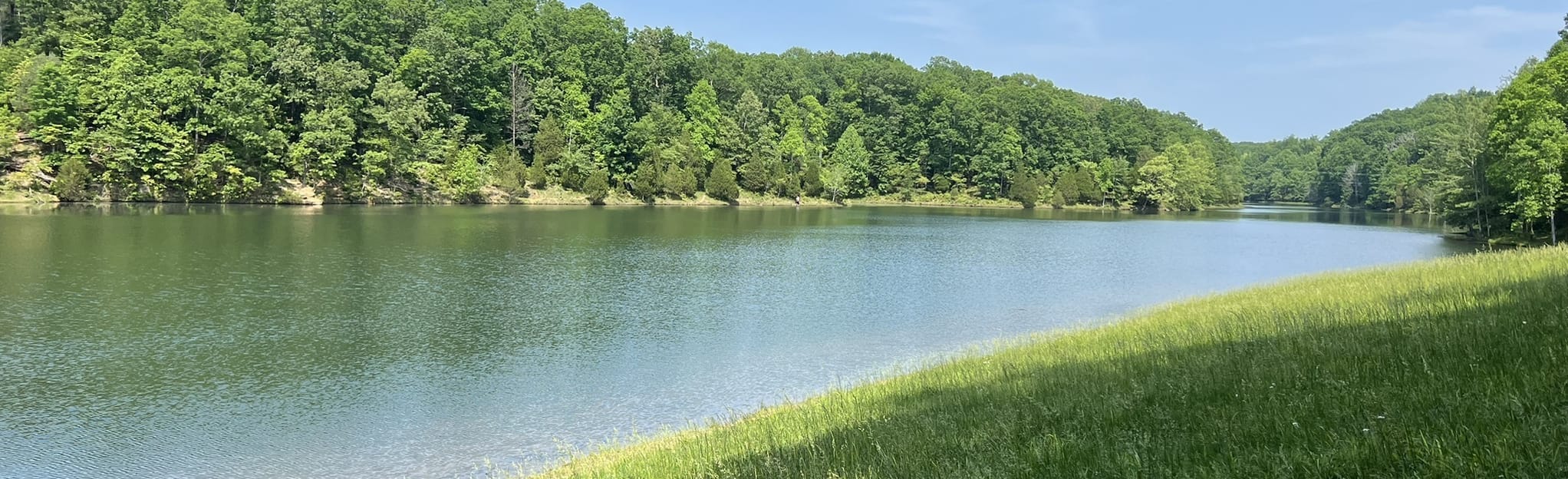 Creech Hollow Lake, Tennessee - 217 Reviews, Map | AllTrails