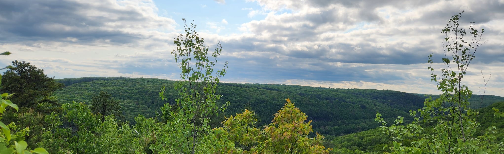 Whitestone Cliffs Trail: 505 Reviews, Map - Connecticut | AllTrails