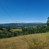 Bonhoff Loop, California - 119 Reviews, Map | AllTrails