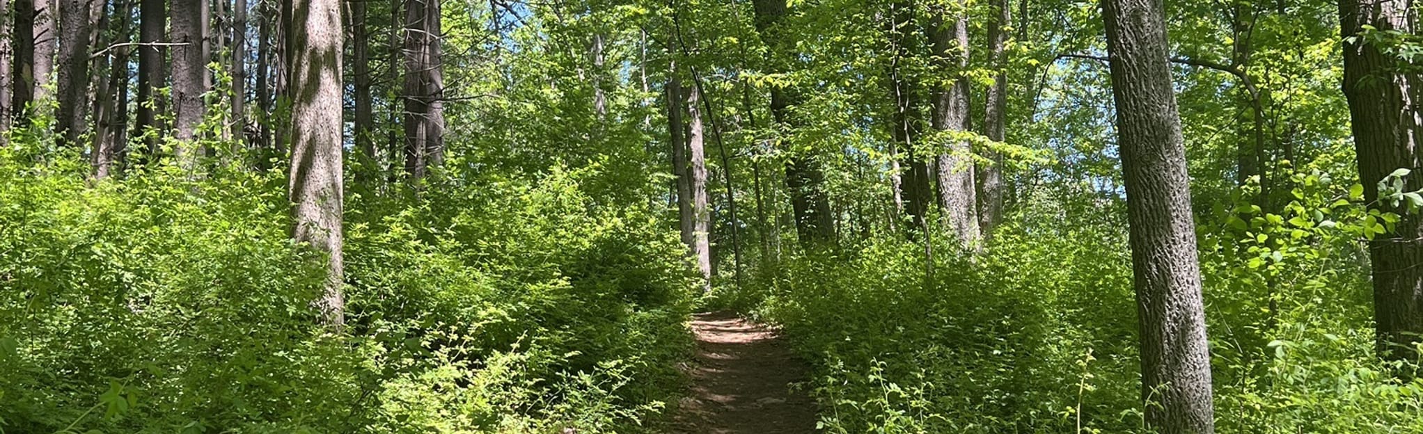 Patuxent River: White, Red, Blue and Yellow Trail : 559 Reviews, Map ...