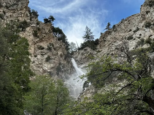 Best Waterfall Trails in Forest Falls | AllTrails