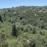 Sweetwater River Loop Trail, California - 439 Reviews, Map | AllTrails