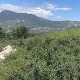 Sweetwater River Loop Trail, California - 439 Reviews, Map | AllTrails