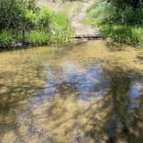 Sweetwater River Loop Trail, California - 432 Reviews, Map | AllTrails