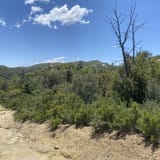Sweetwater River Loop Trail, California - 440 Reviews, Map | AllTrails