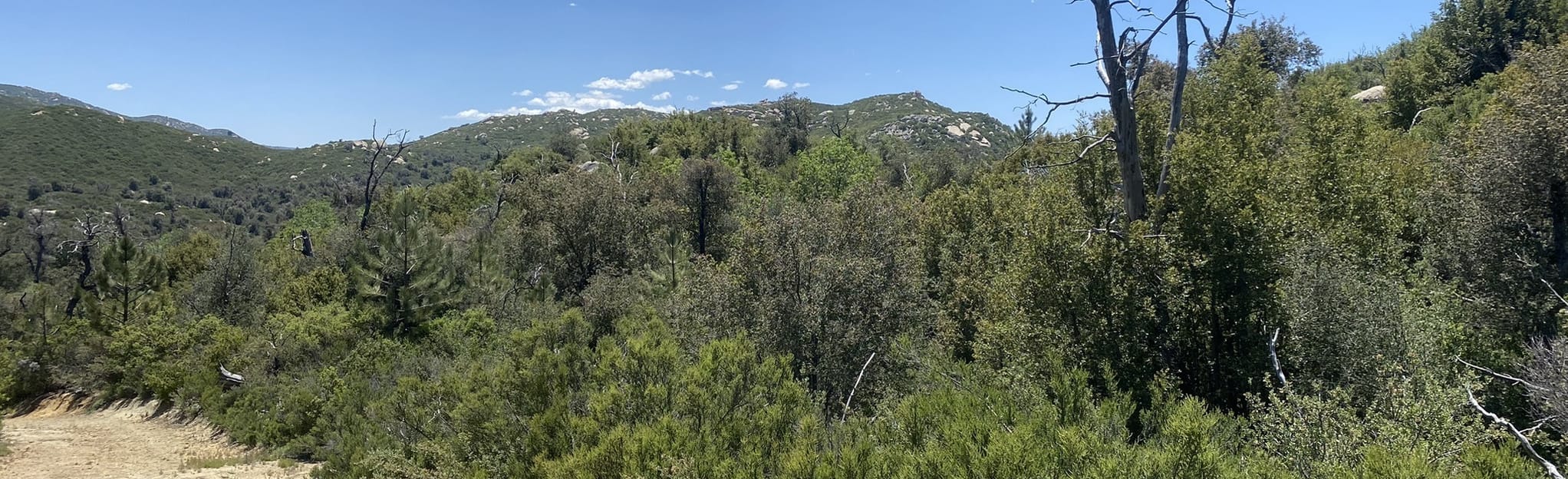 Sweetwater River Loop Trail, California - 426 Reviews, Map | AllTrails