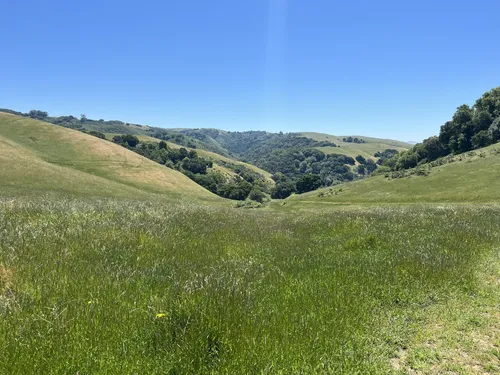 10 Best Hikes and Trails in Garin Regional Park | AllTrails